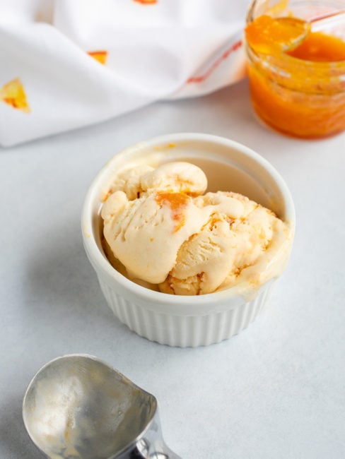 Apricot Ice Cream: No-Churn - OMG! Yummy